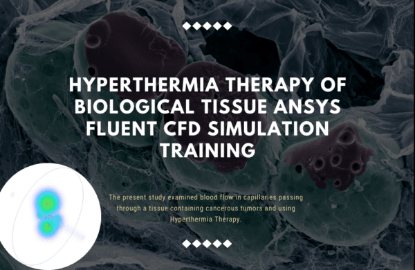 Hyperthermia Therapy of Biological Tissue CFD Simulation Training