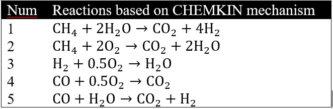 Gasification in Gasifier Chamber by CHEMKIN, P1 Radiation Model - MR CFD