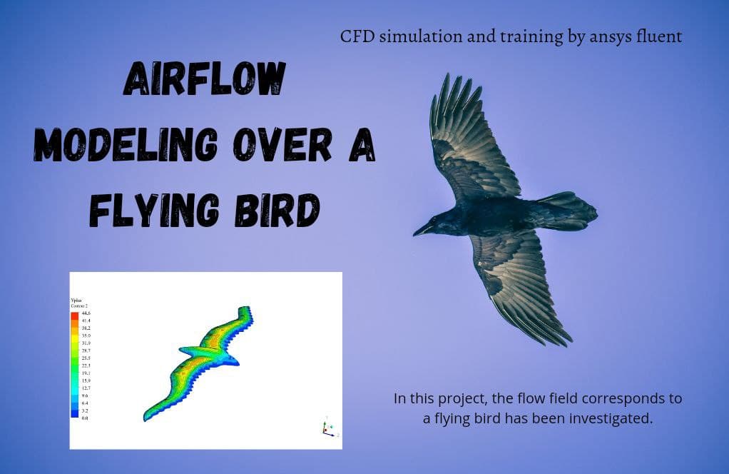 Airflow Modeling over a Flying Bird, ANSYS Fluent CFD Simulation ...