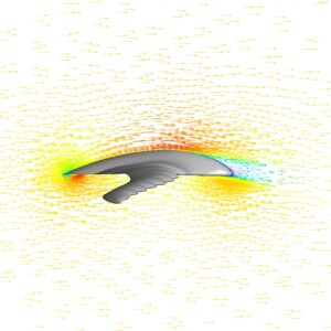 Airflow Modeling over a Flying Bird, CFD Simulation - MR CFD