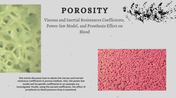 POROSITY (Viscous and Inertial Resistances Coefficients, Power-law ...