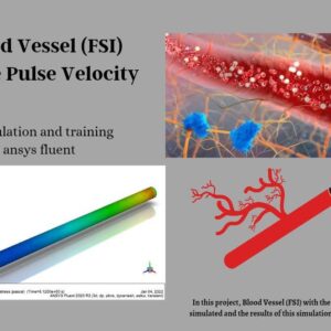 FSI (Vibration) Training Package, ANSYS Fluent, 5 Learning Products - MR CFD