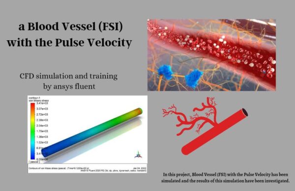 Blood Vessel (FSI) with the Pulse Velocity, CFD Simulation Ansys Fluent Training - MR CFD
