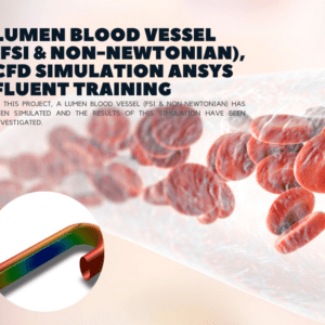 FSI (Vibration) Training Package, ANSYS Fluent, 5 Learning Products ...