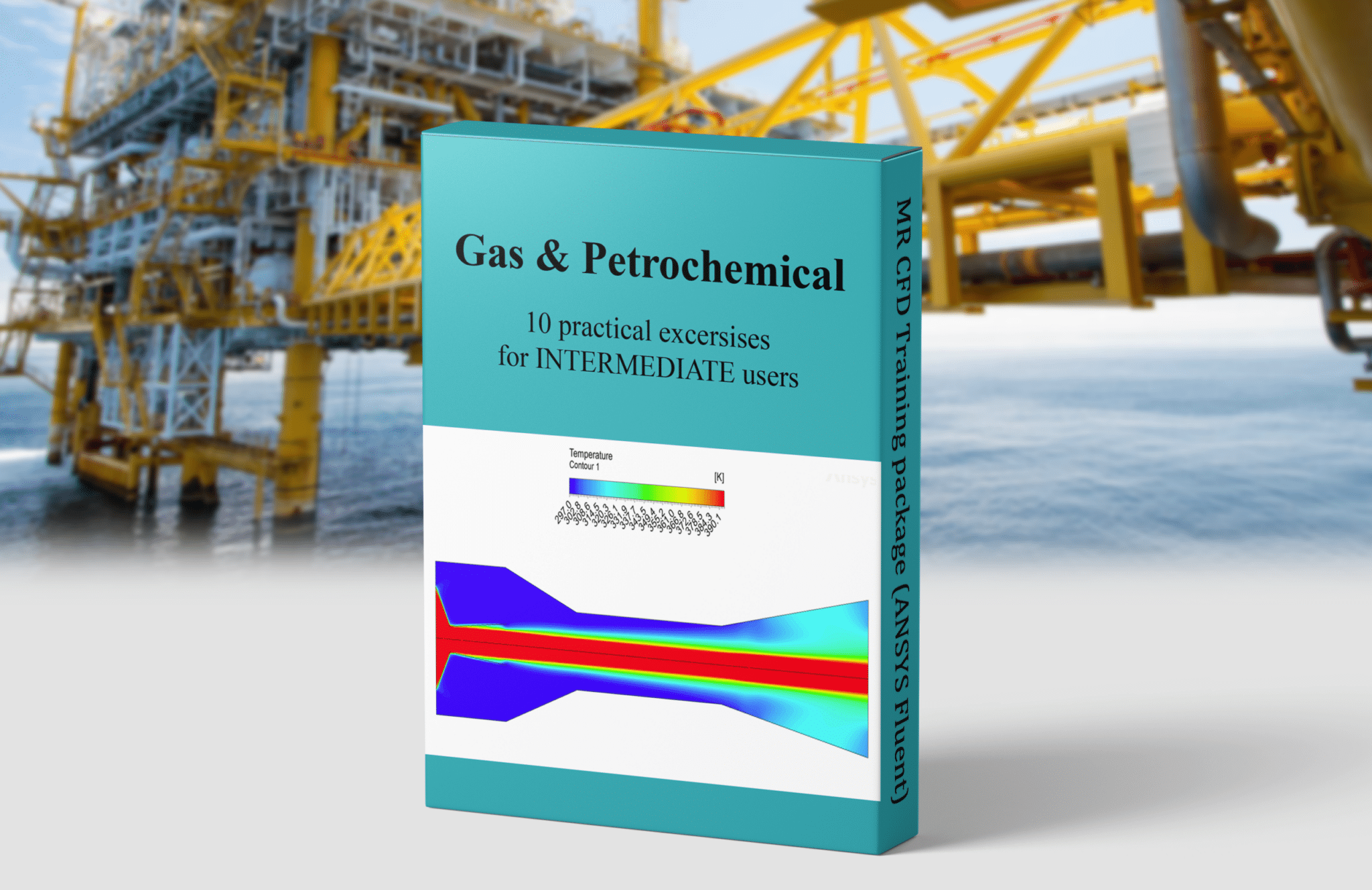 Gas and Petrochemical CFD Training Package, Intermediates, 10 Practical ...