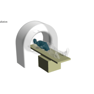 Monte Carlo Radiation, CT Scan CFD Simulation - MR CFD