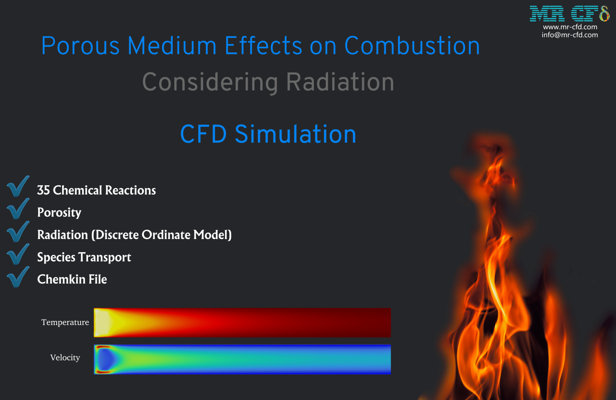 Porous Medium Effects on Combustion Considering Radiation CFD Simulation - MR CFD