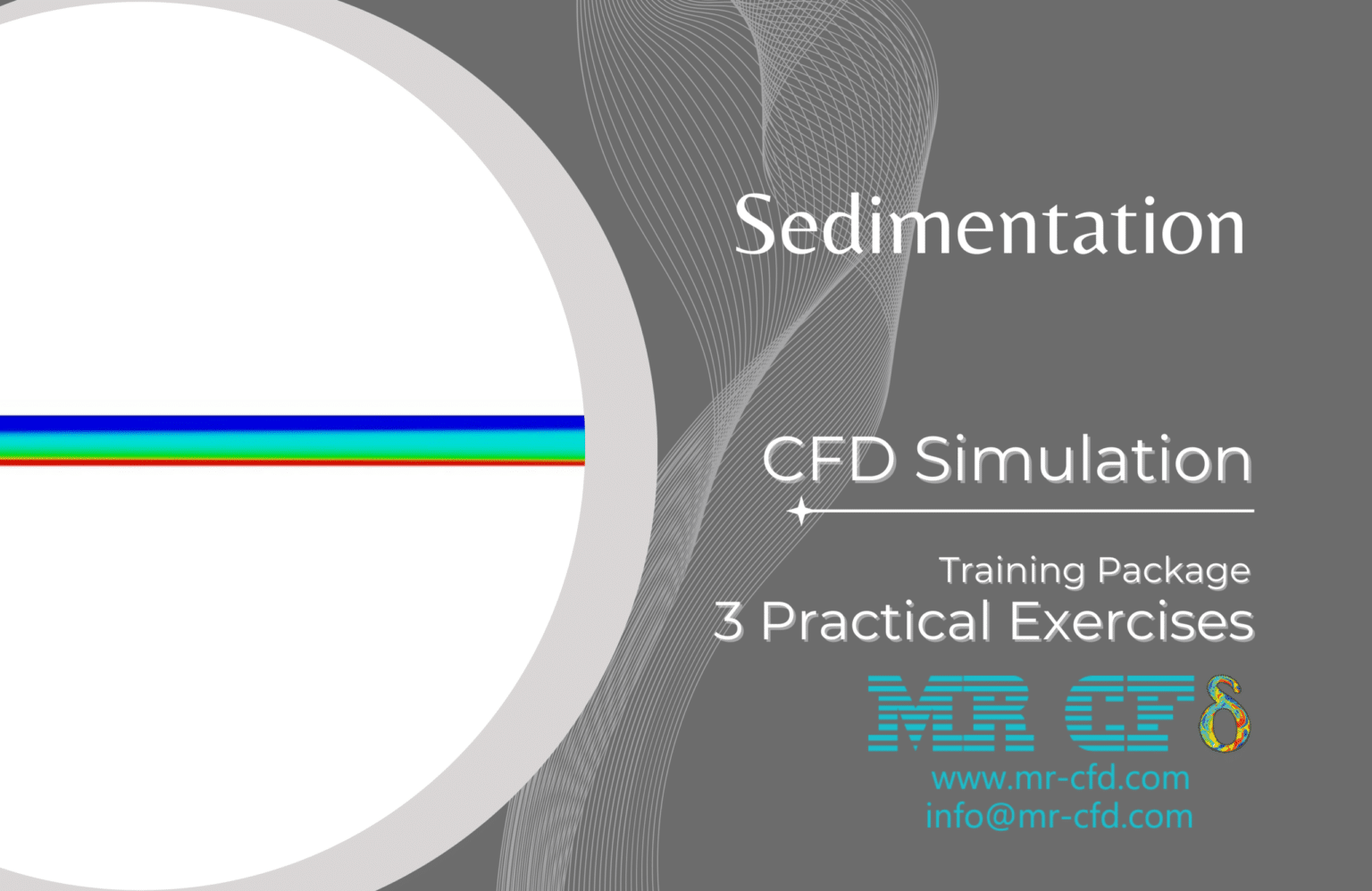 sedimentation cfd simulation-training