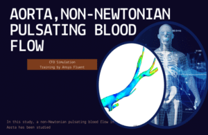 UDF Application for Pulsatile Blood Flow