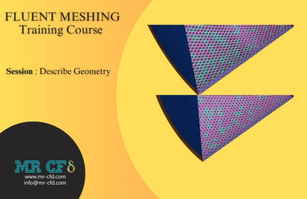 Fluent Meshing Training Course: Session 7, Describe Geometry - MR CFD