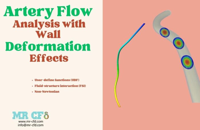 FSI for Biomedical and Cardiovascular Flow: CFD Simulation Training ...